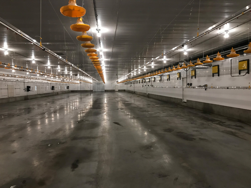 Poultry Wall & Ceiling Panels - Trusscore