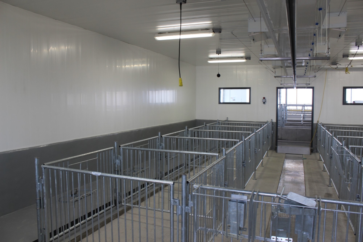 Dairy Board Panels & Milking Parlour Cladding - Trusscore