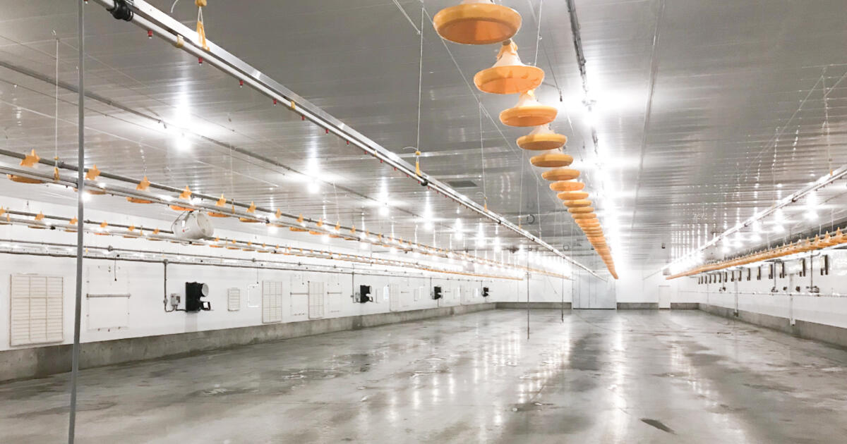 Poultry Wall & Ceiling Panels - Trusscore