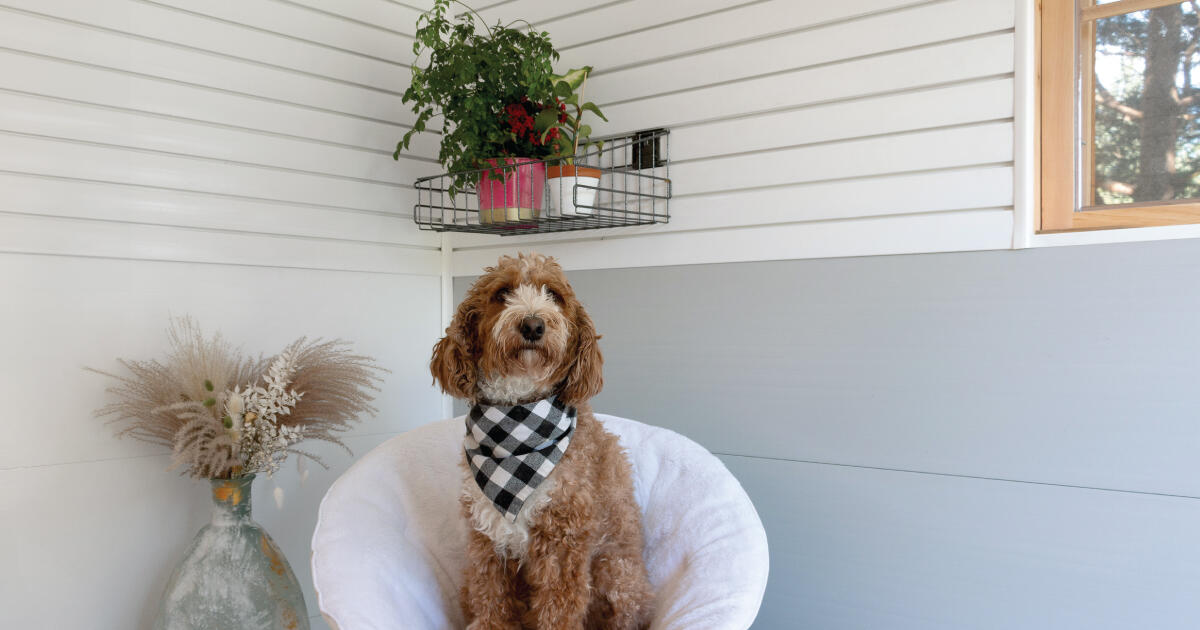 Flex Spaces 101: What They Are and How to Design One That Works for You ...