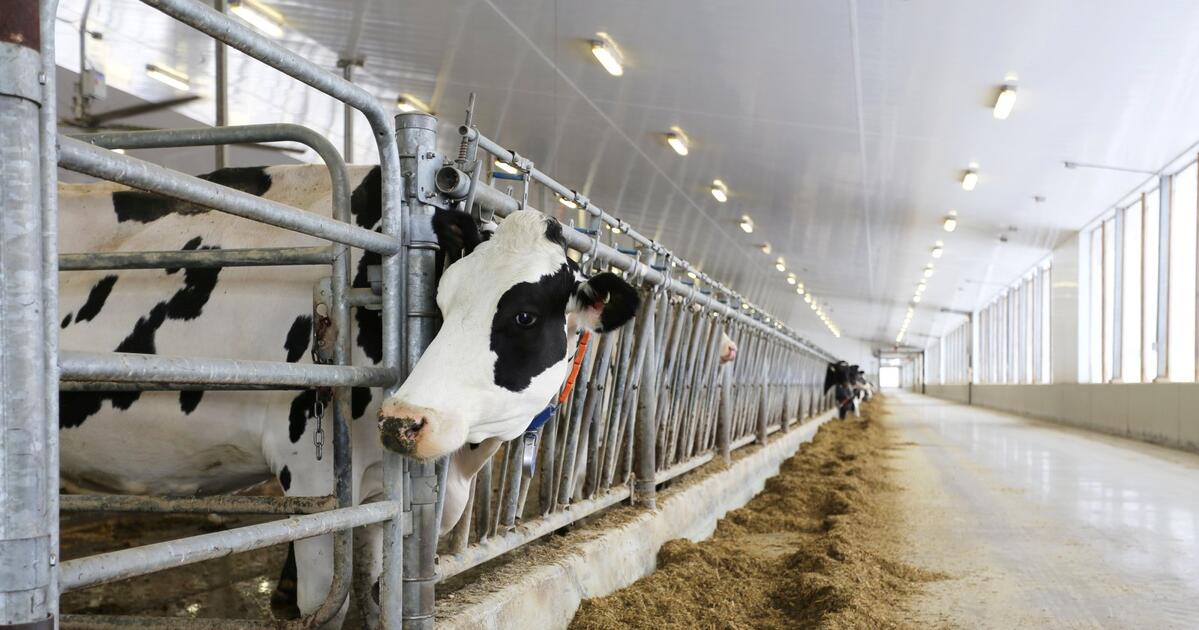 Dairy Research Center - Trusscore